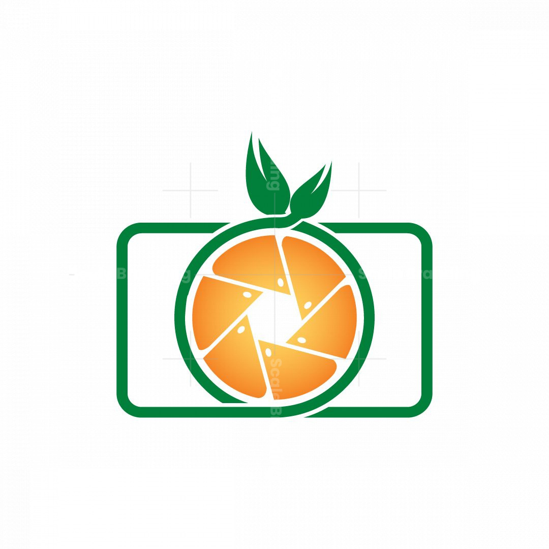 Orange Lens Logo | Scalebranding