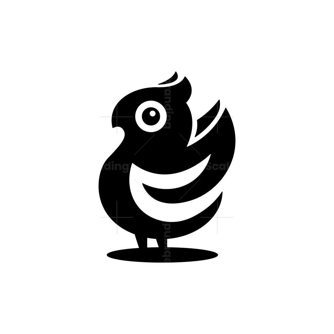 Owl Bird Logo | Scalebranding