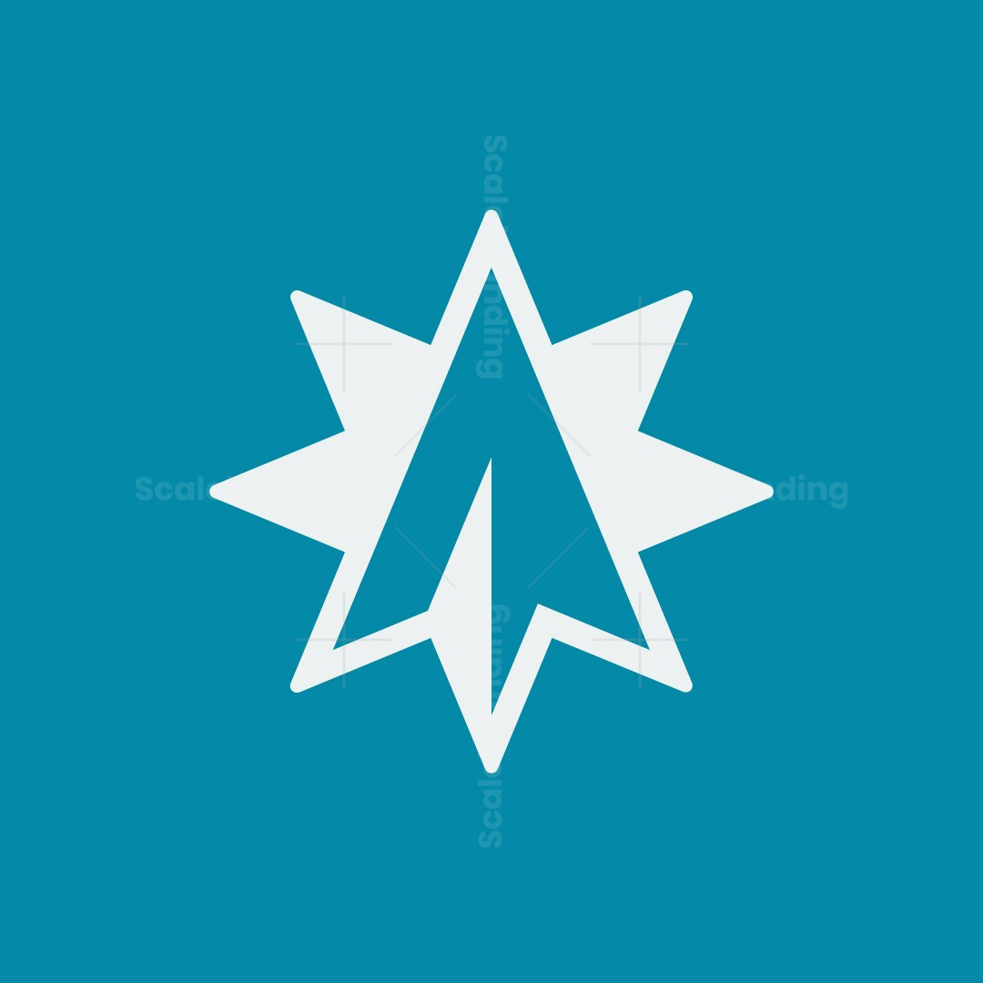 Paper Plane Star Logo | Scalebranding