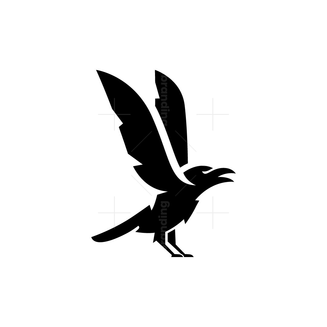 Black Crows Logo The Brand | Black Crows