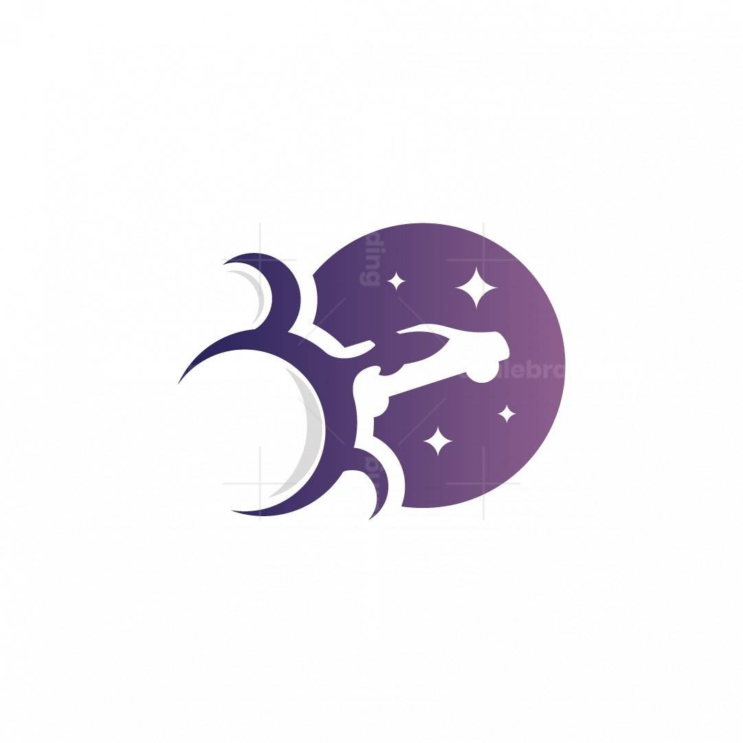 rocket carwash Logo | Scalebranding