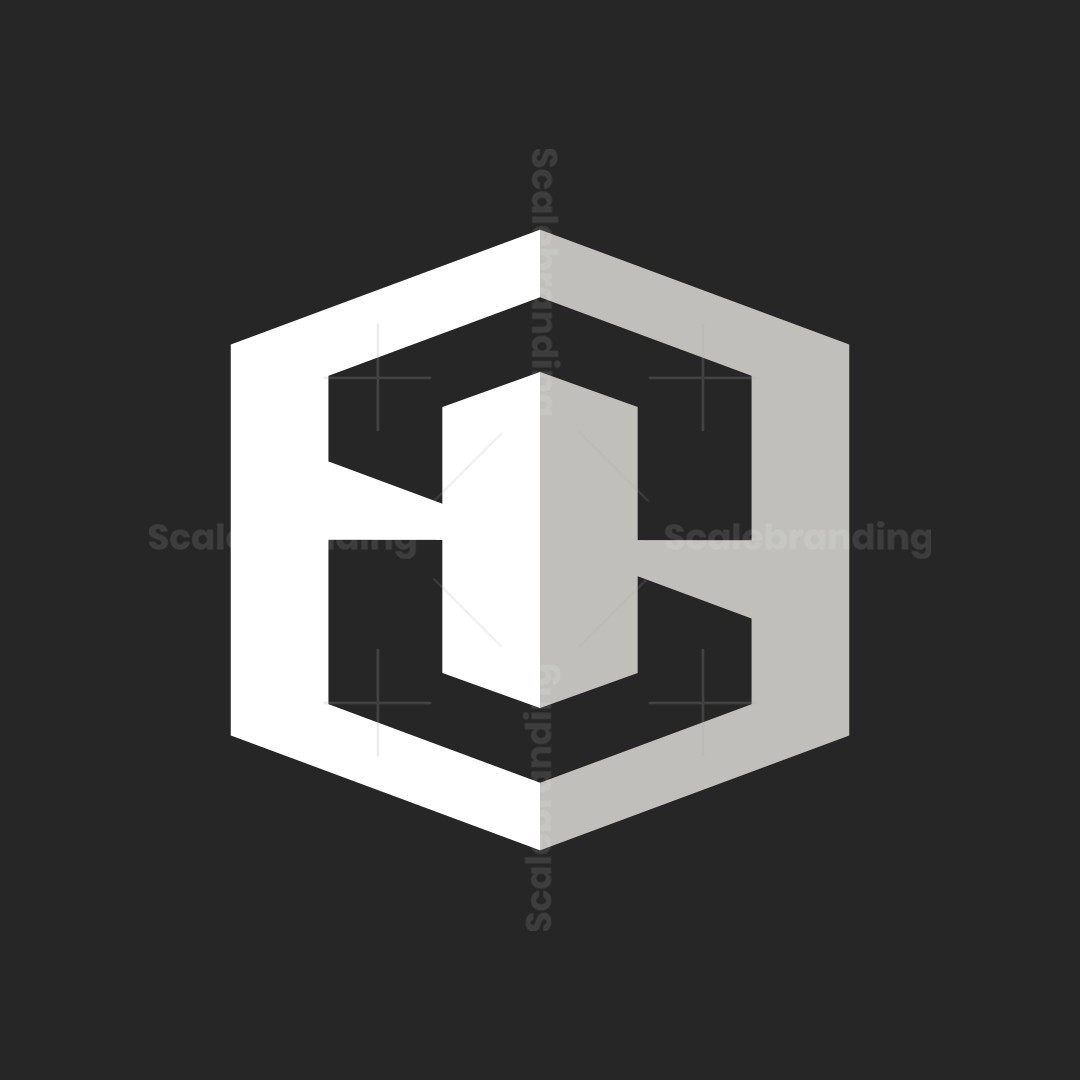 S Hexagon Logo | Scalebranding