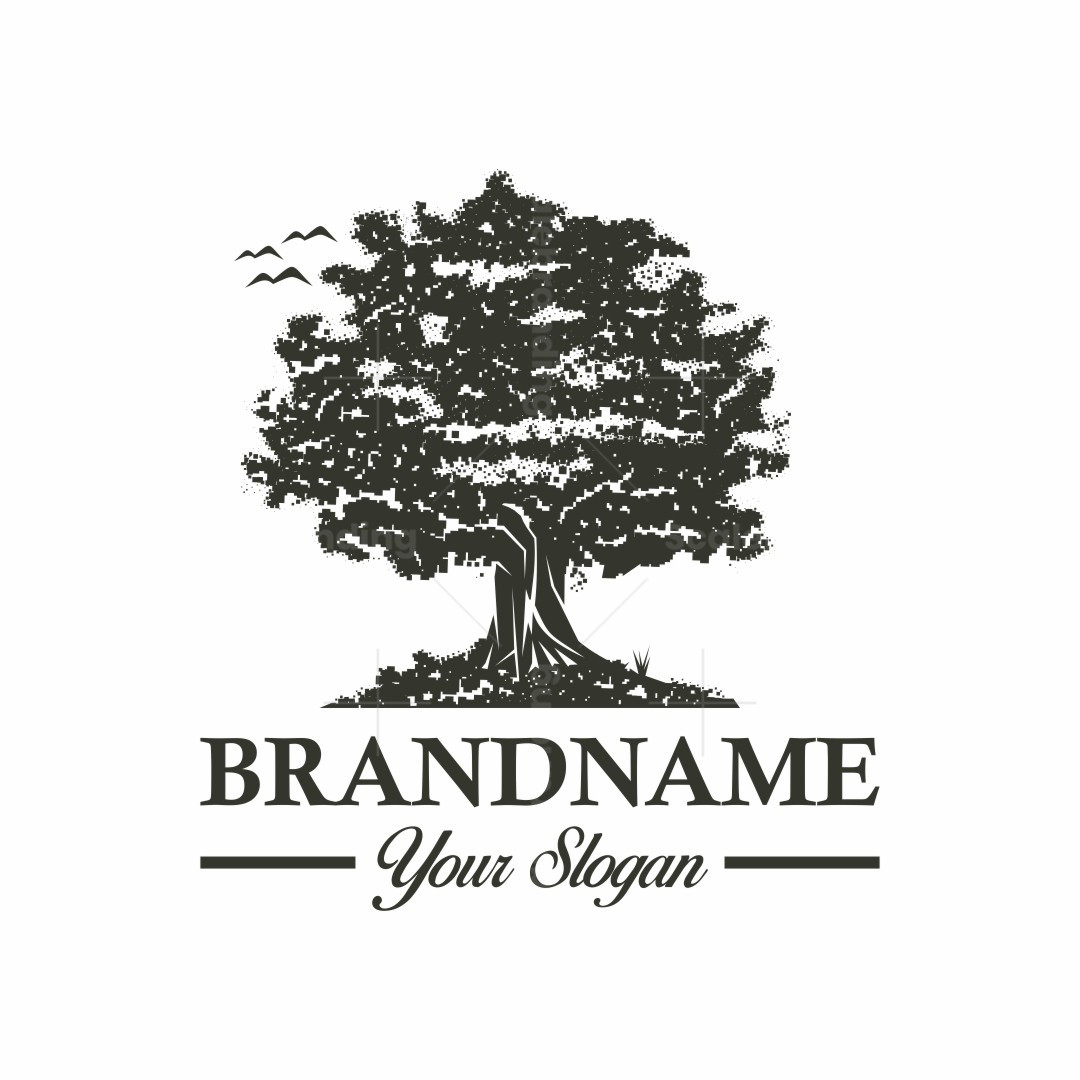 Shady Tree Logo | Scalebranding