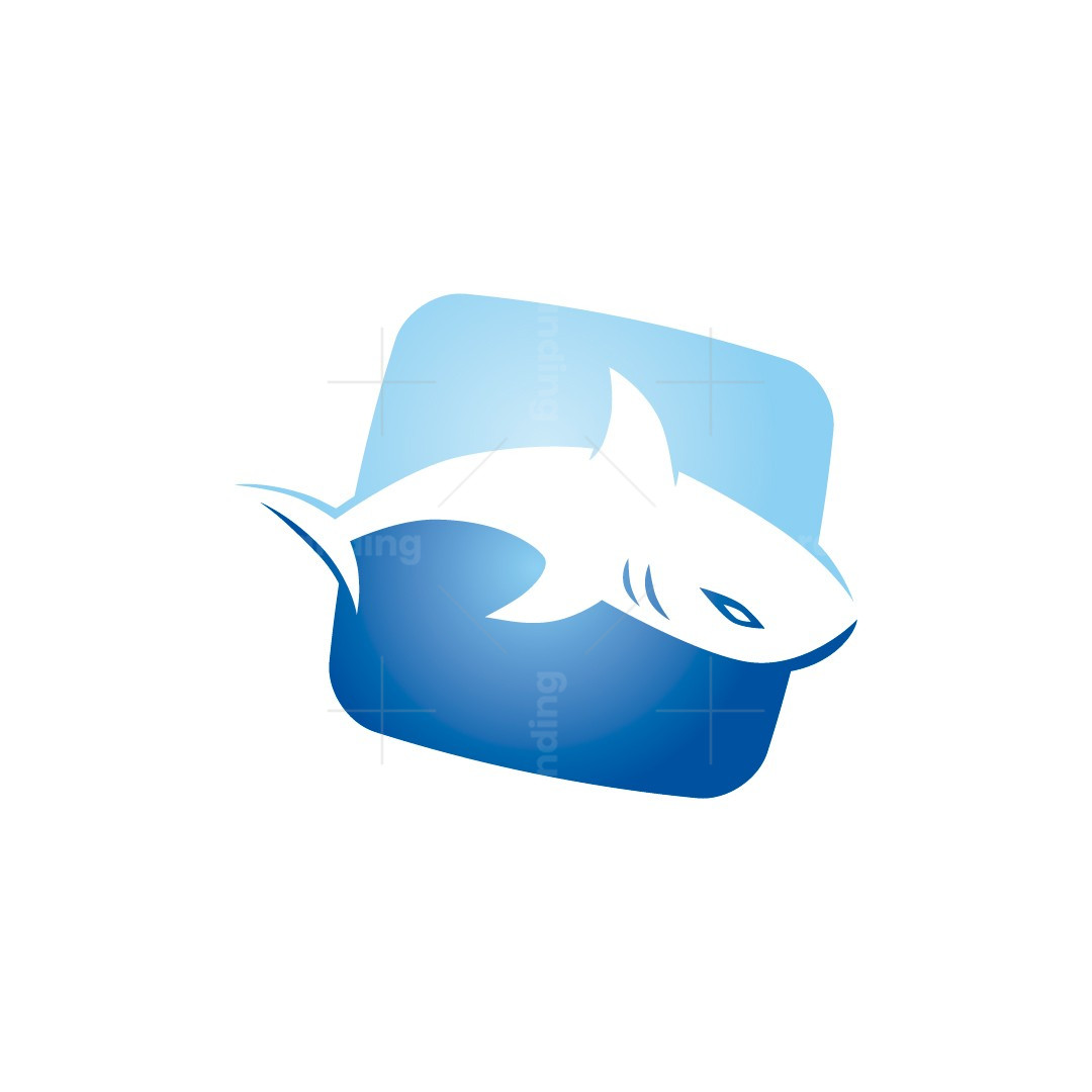 Shark Box Ocean Tour Logo | Scalebranding