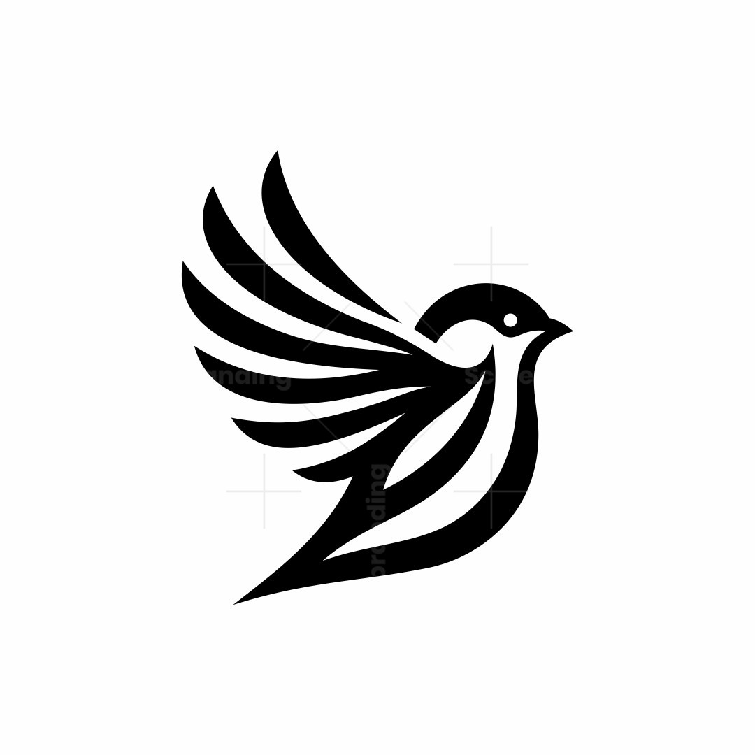 Sparrow Bird Logo House Sparrow Facts & Information GWCT Big