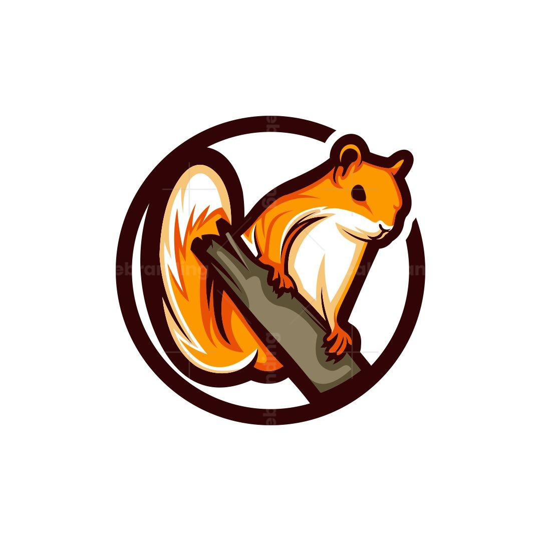 Fighting Squirrels Logo Squirrel Fight | In My Dads Back Garden I