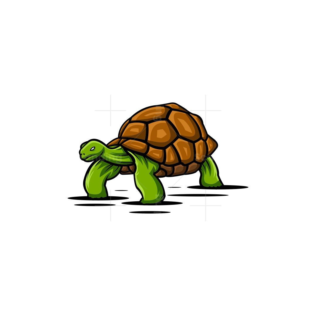 Tortoise Logo | Scalebranding