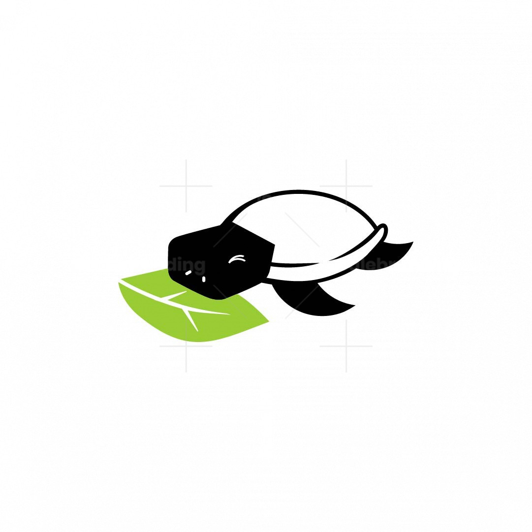 turtle and leaf Logo | Scalebranding