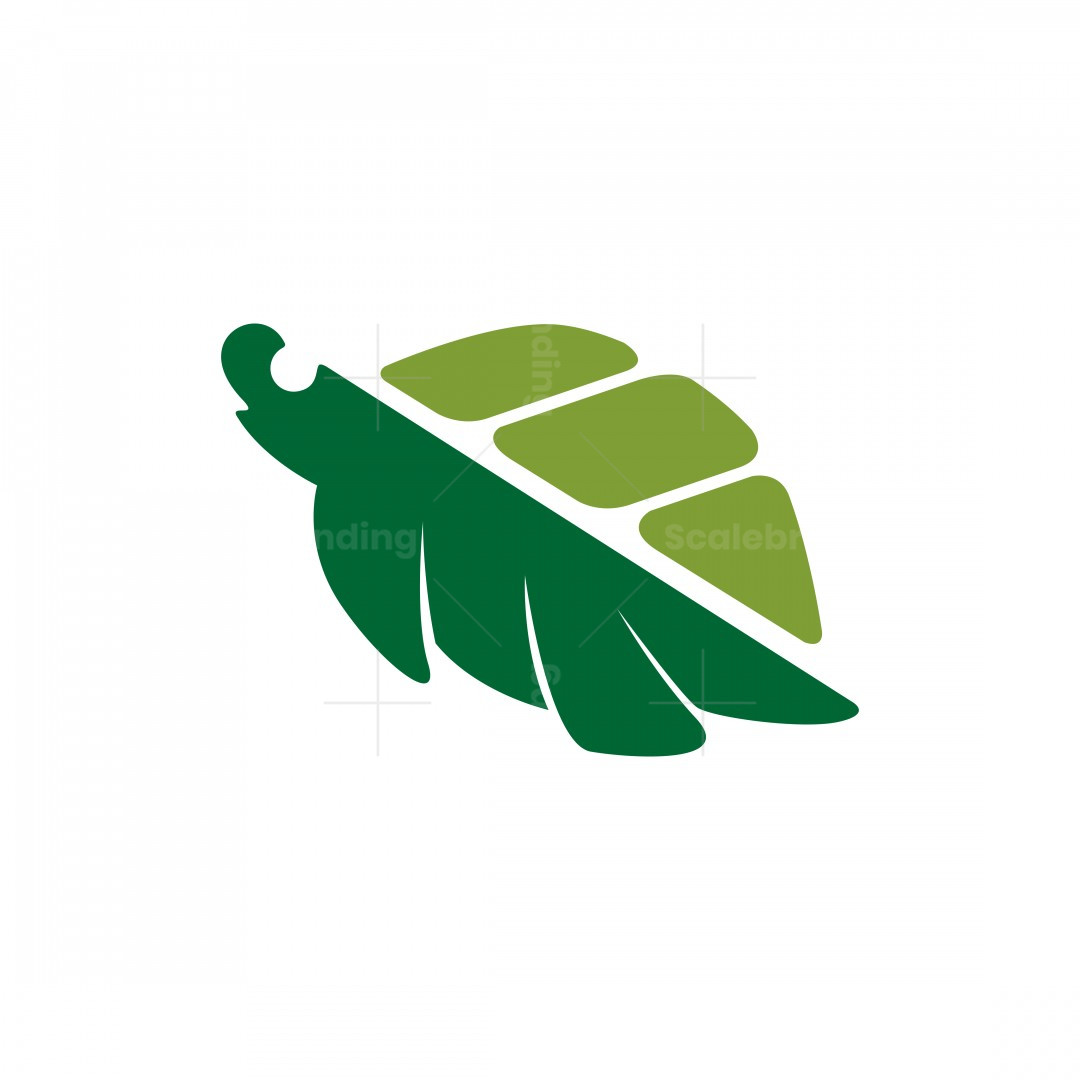 Turtle Leaf Logo | Scalebranding