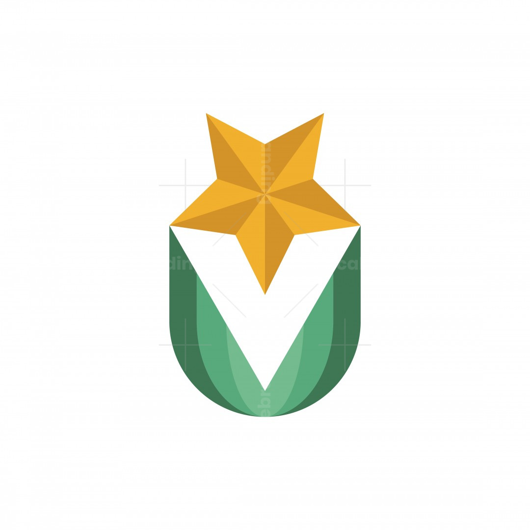 Starleaf Logo Profile For Star Leaf