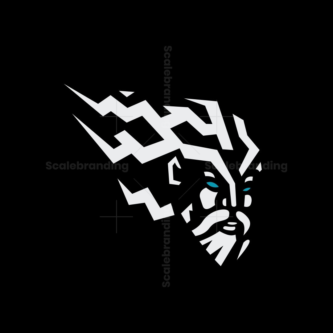 Wizard Head Logo | Scalebranding